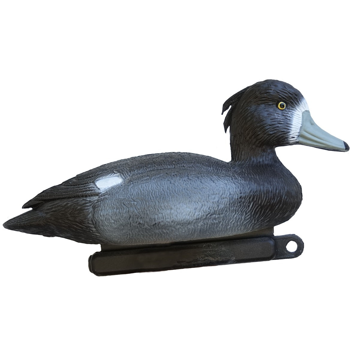 Lokkeænder Troldand- Hanner og Hunner– DKWAI